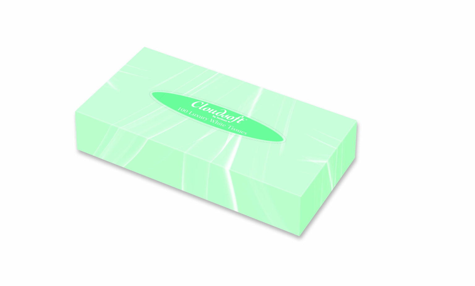 Eco Friendly Cloudsoft Facial Tissues White 2ply pack Of 24 Boxes eco-friendly-cloudsoft-facial-tissues-white-2ply-pack-of-24-boxes